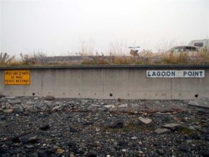 Gallery – Lagoon Point